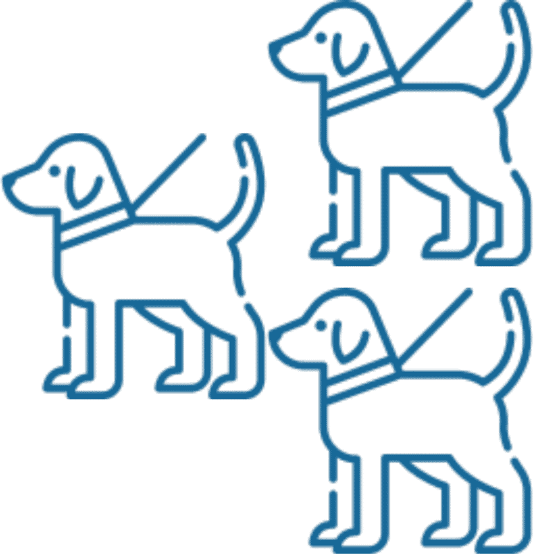 Pet Care Services MyPeterinarian
